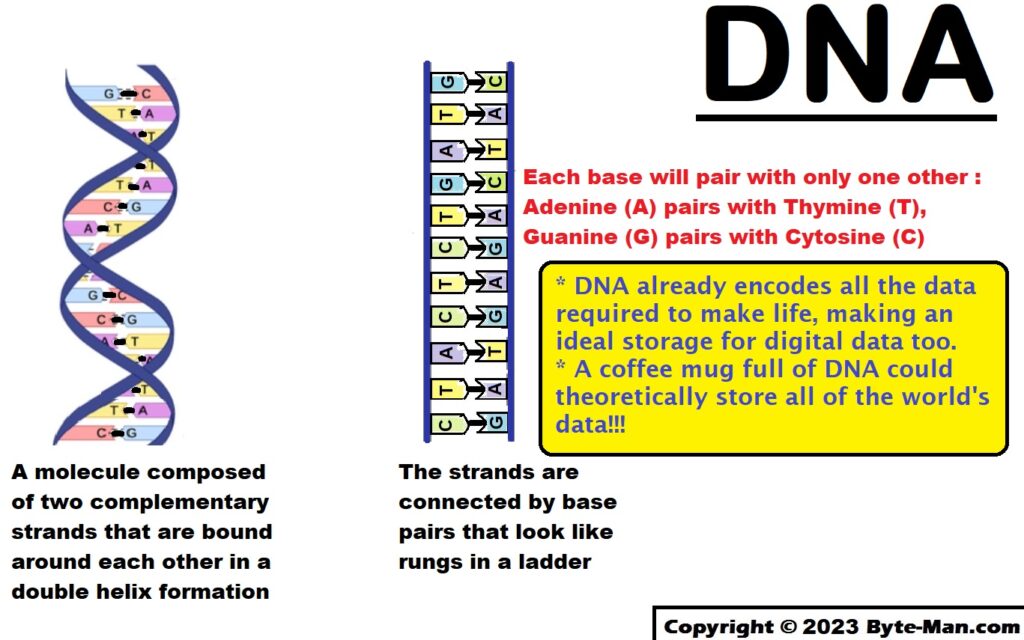 DNA Computing : First Class – BYTE-MAN