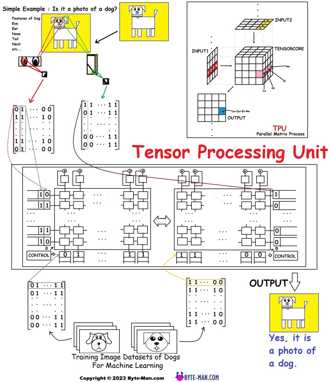CPU vs GPU vs TPU – BYTE-MAN
